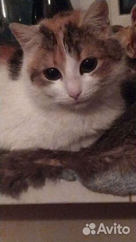 Машенька 9 месяцев