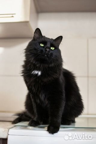 6 кг счастья