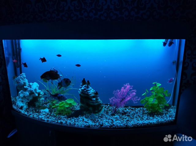 Аквариумный комплекс