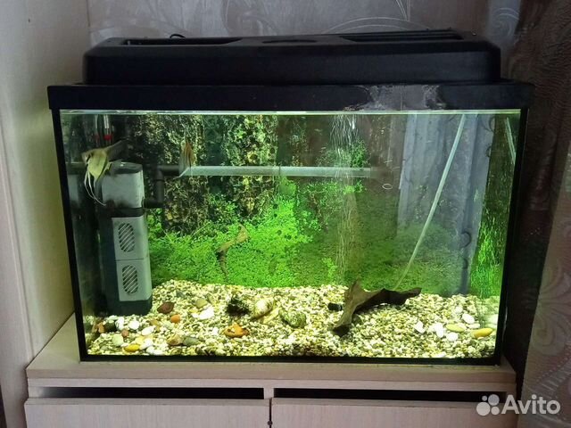 Аквариум