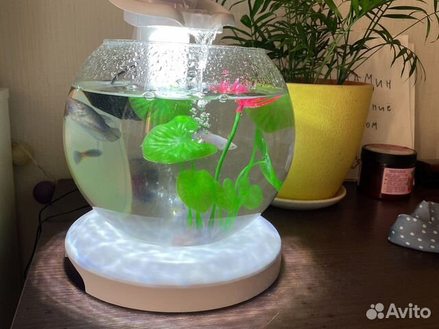 Аквариум 8 литров водопад