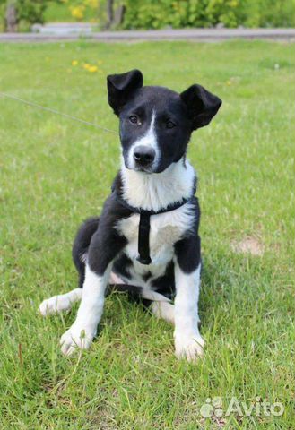 Бусинка. Ребёнок на промзоне