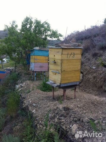 Пасека 8 ульев, с рамками и пчелами. 2 корпусные
