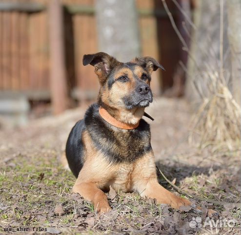 Лиза, 7-8 лет