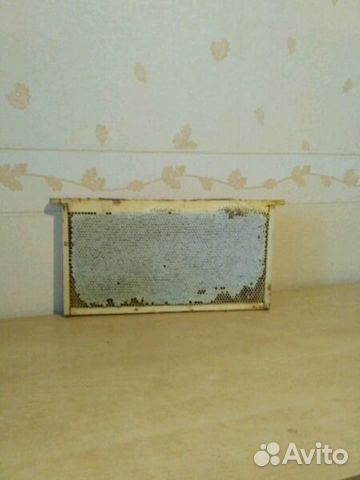 Продам пчел карника