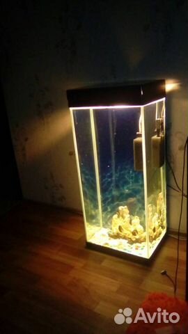 Аквариум- столбик