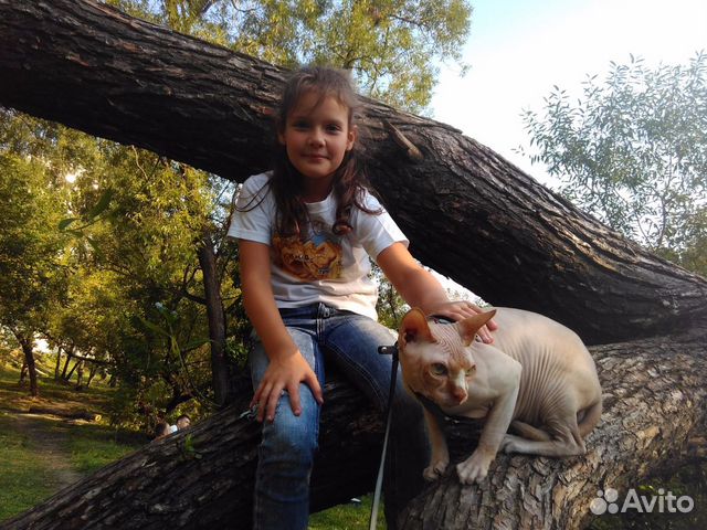 Кот для вязки