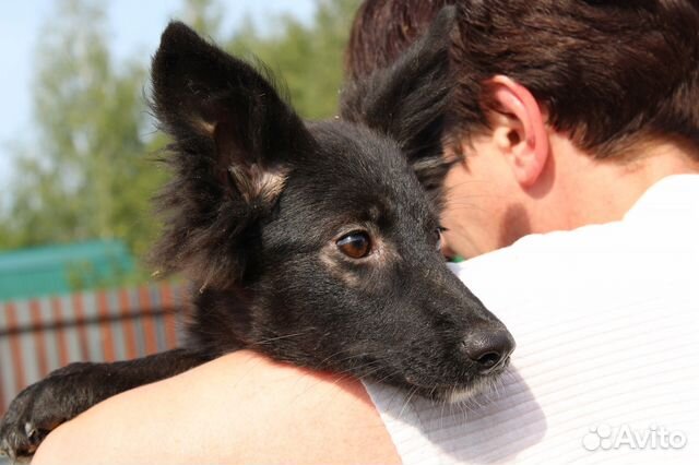 Миниатюрная девочка - Лисичка по имени Леся