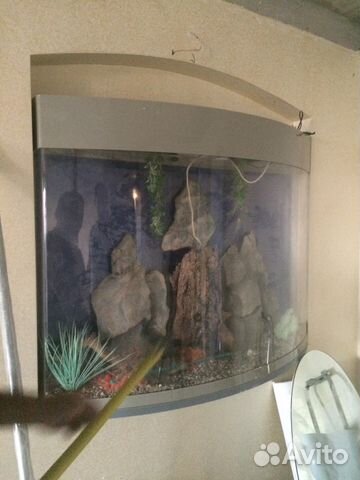 Аквариум -акриловый