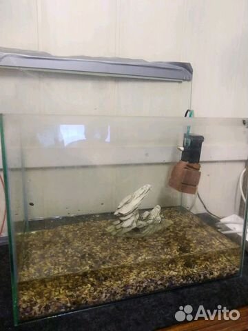 Аквариум