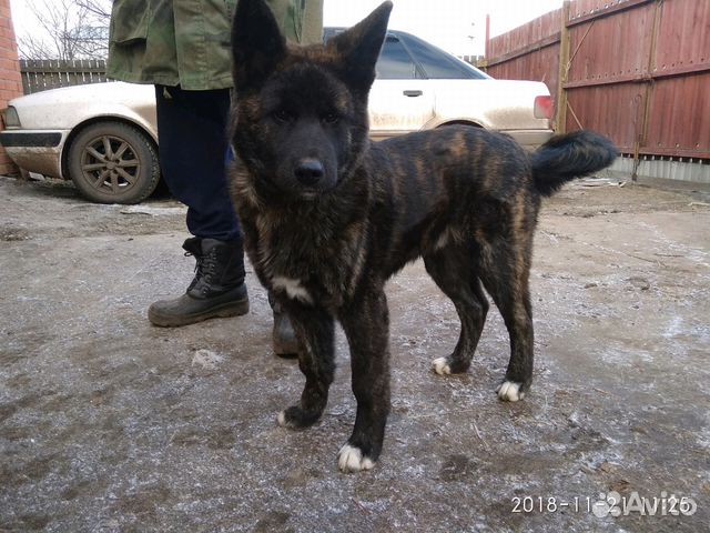 В ответственные руки