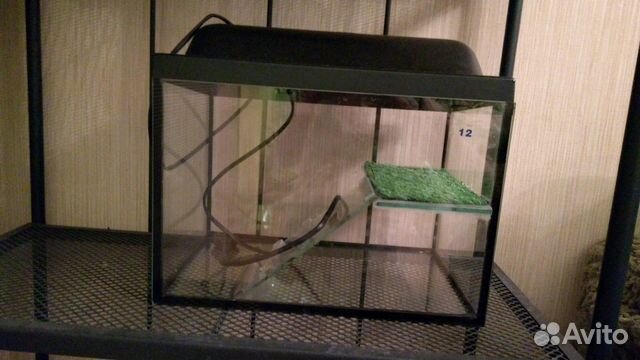 Оквариум для черепахи