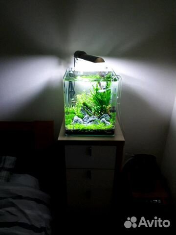 Светильник dennerly nano light 11w
