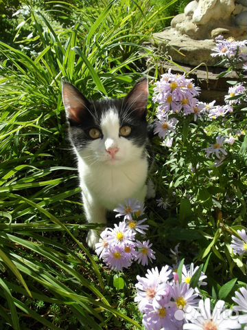Лучший новогодний подарок на счастье