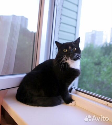 Очаровательная Маша в ответственные руки