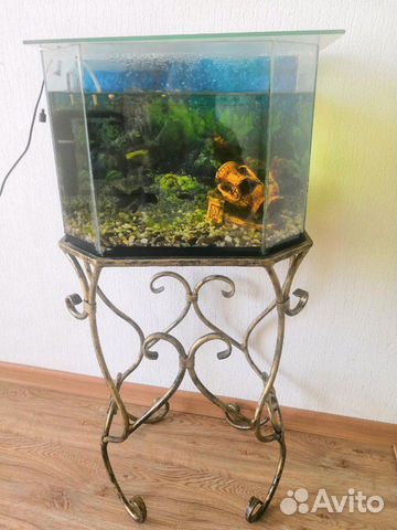 Аквариум