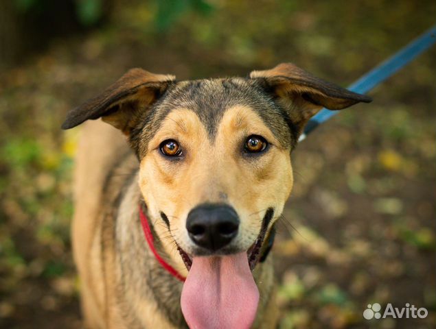 Лукерья- всегда быть в маске судьба моя