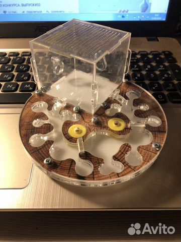 Муравьиная ферма - формикарий