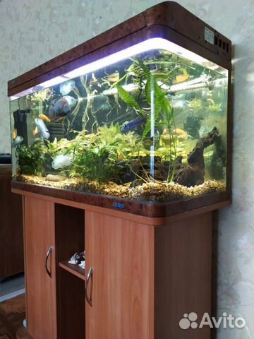 Аквариум Jebo R 210