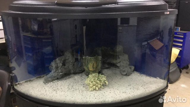 Угловой аквариум Aquael 375л. с тумбой и комплект