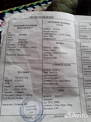 Продажа или обмен зслайки
