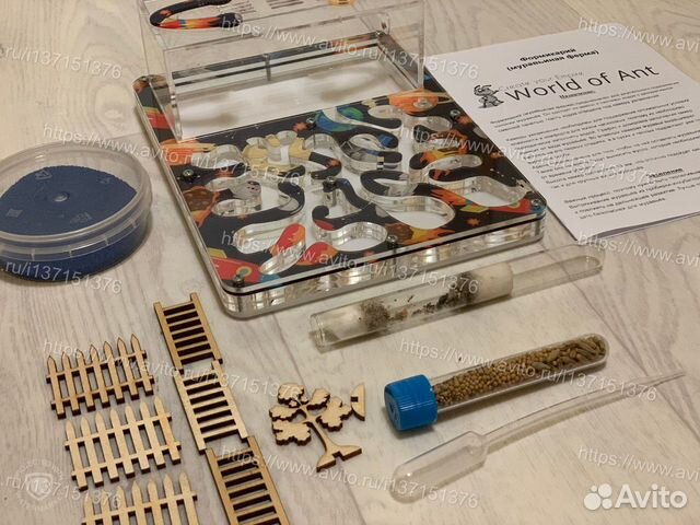 Муравьиная ферма с муравьями + корм (Формикарий)