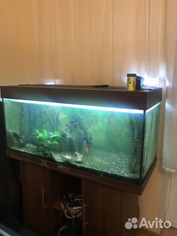 Аквариум Juwel Rio 180