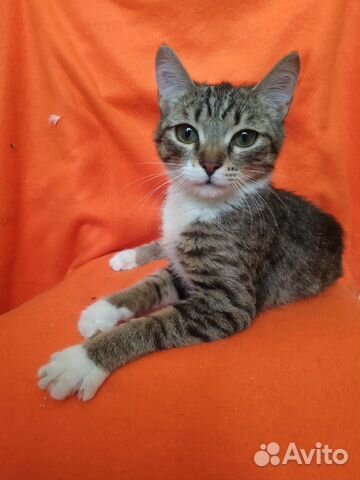 Маняша 4 месяца