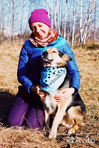 Отдам в хорошие руки, ласковый Веня