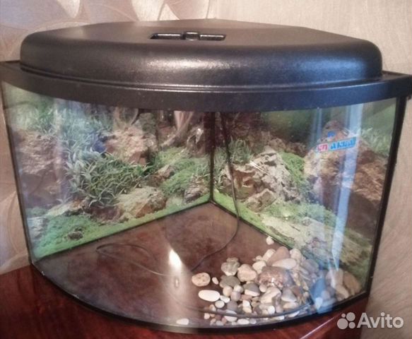 Аквариум