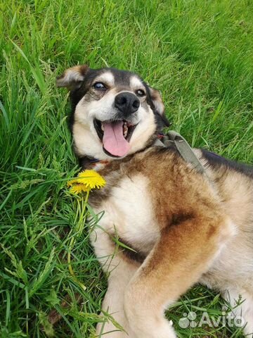 Красавице Кларк нужен дом