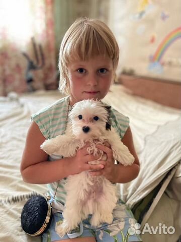 Бивер мальчик-красавчик