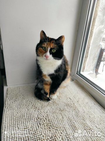 Маруся нашлась