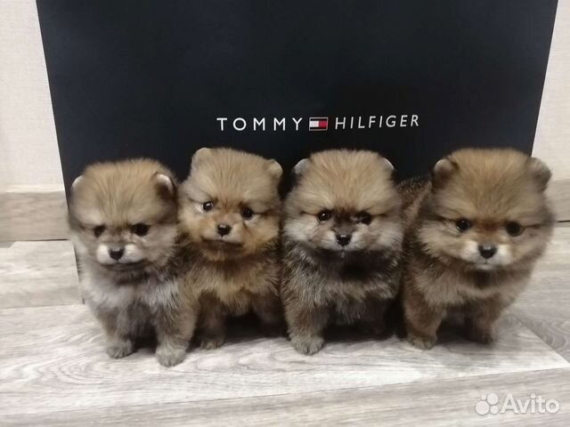 Мини помочки