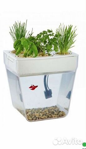 Акваферма, аквариум 11 литров