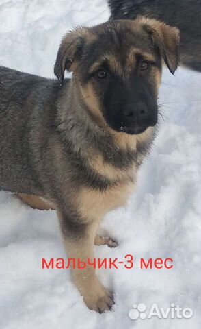 Мальчуган