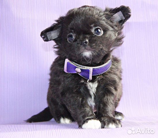 Мальчик уголечек