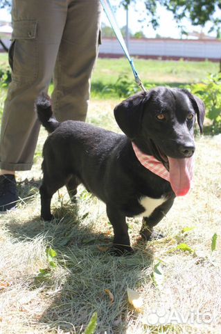 Малыш Скай ждет свою маму