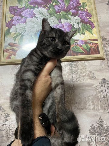 Красавица Уна - Инопланетянка