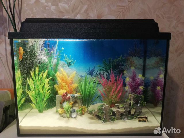 Аквариум 50л со всём оборудованием и декорациями
