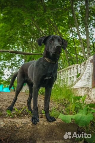 Ричи мальчик 6 мес