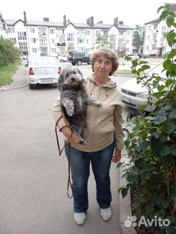 Спаривание