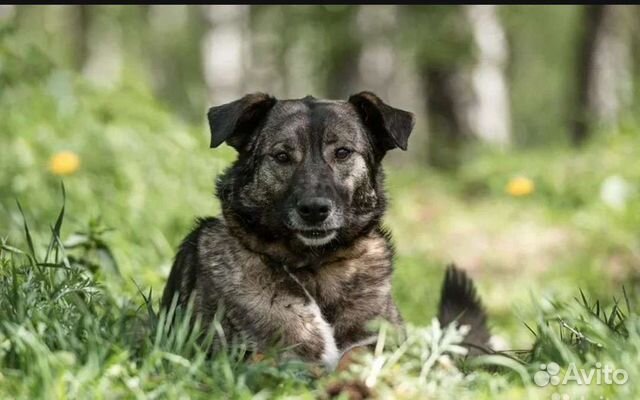 Он очень ждёт свою семью