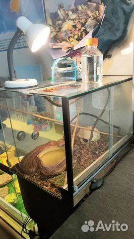 Террариум для рептилий 604040 см