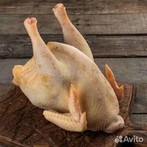 Курица домашняя и яйца