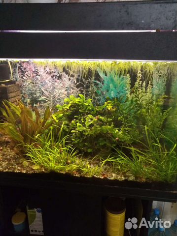 Аквариум полностью оборудованный