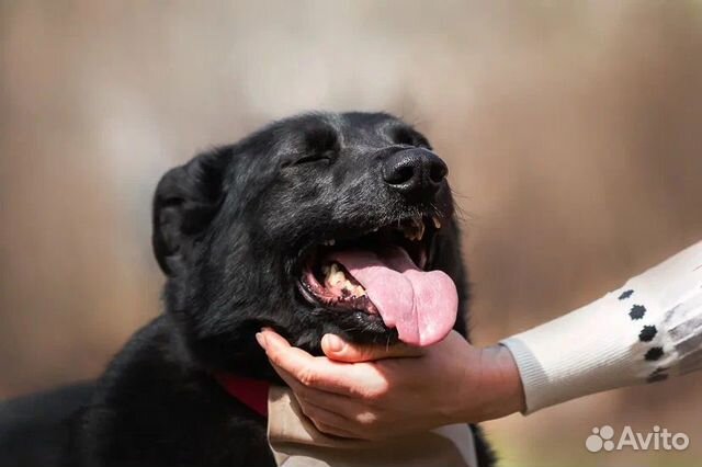 Мамочка Ночка