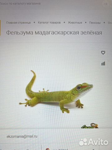 Фельзума