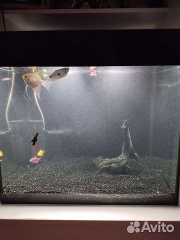Аквариум с рыбками с компрессором