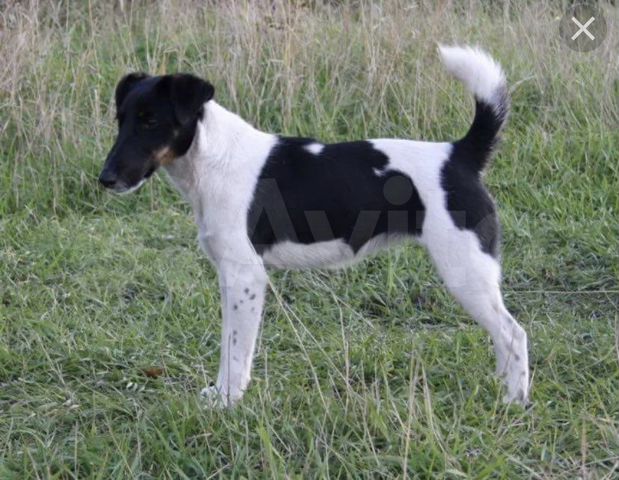 Феодосия ул Гарнаева 63